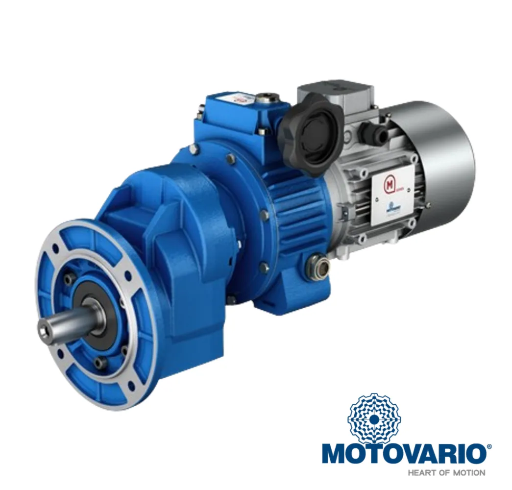 MOTOVARIO Motovariators-gear reducers Gearmotor - VAR Series