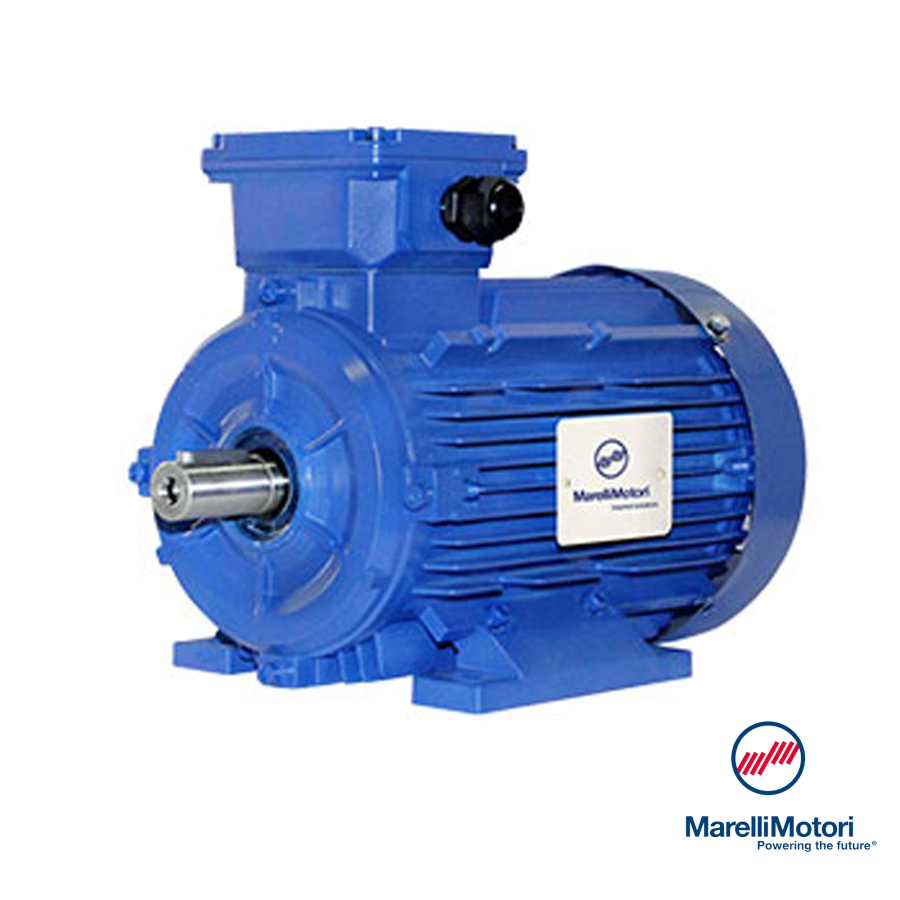 Marelli Motori IE1 Induction Motor