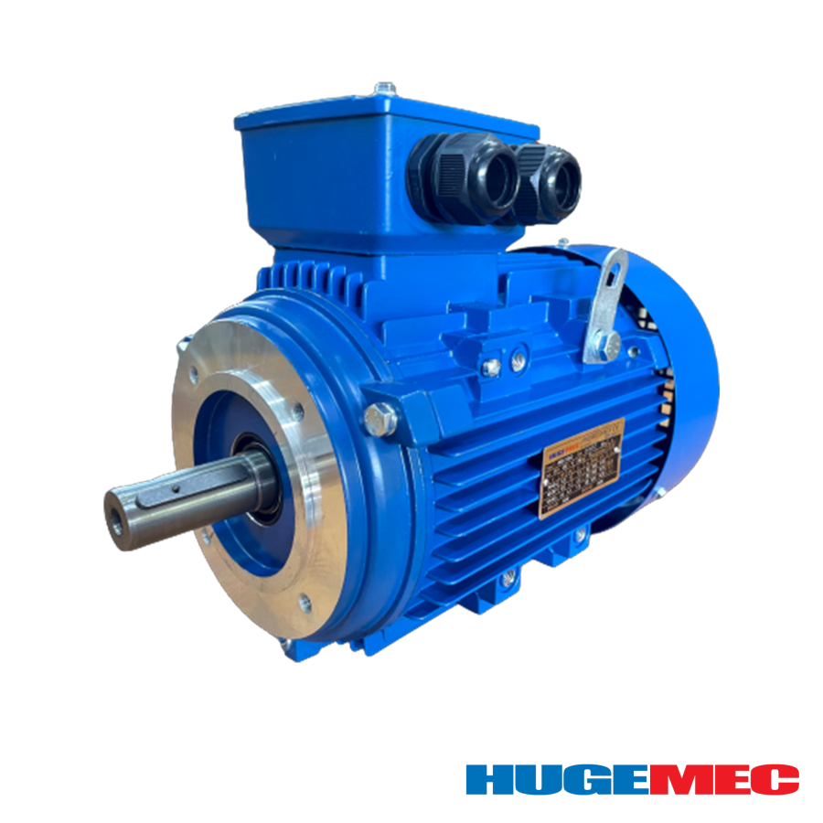 HUGEMEC Induction Motor B14